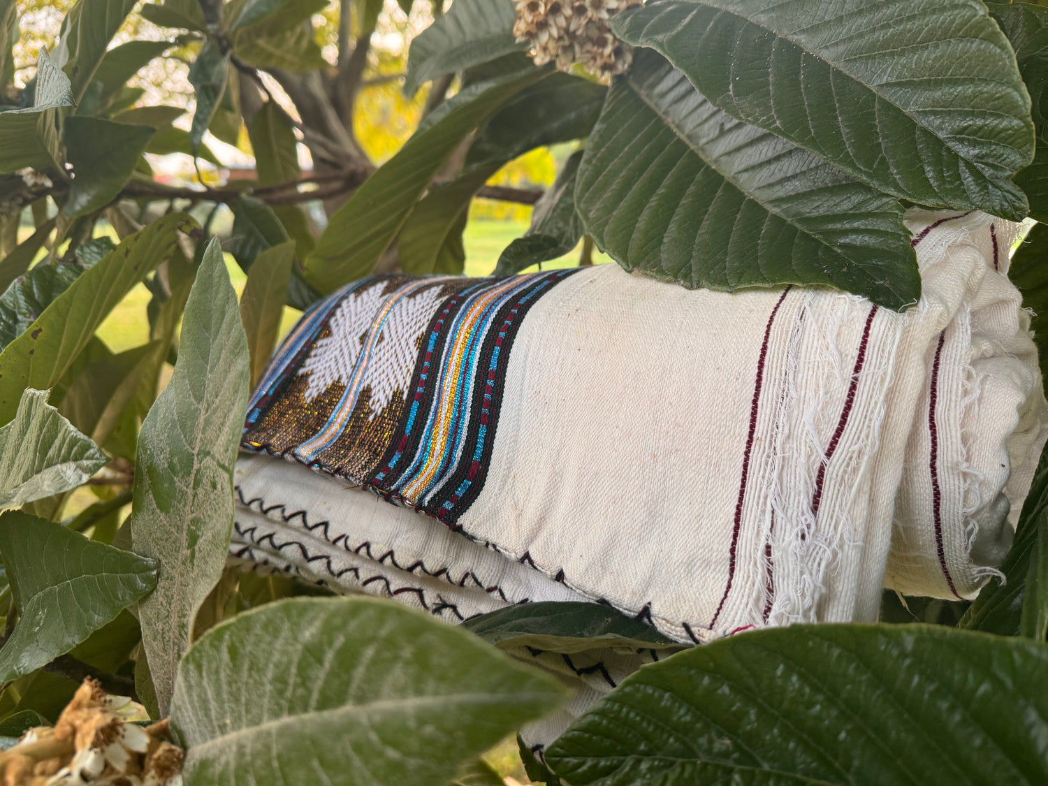 Gena Tibeb- Home page